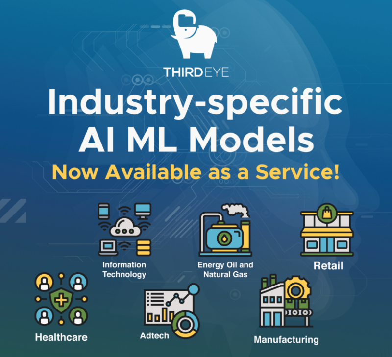 AI Models as a Service (AIMaaS) by ThirdEye Data