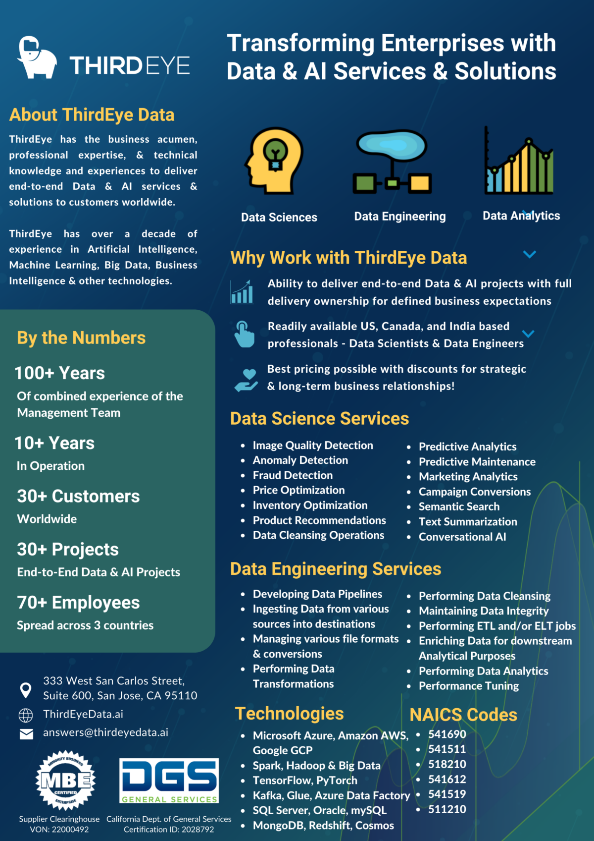 Capability Statement of ThirdEye Data: Expertise, Experience