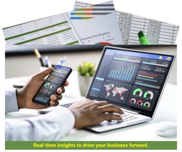 CXO Dashboard Solutions — ThirdEye Data