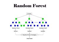 Random Forest — ThirdEye Data